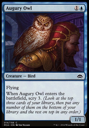Augury Owl-14 | MTG | Planechase Anthology