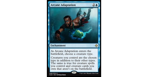 Arcane Adaptation-46 | MTG | Ixalan