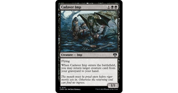 Cadaver Imp-141 | MTG Foil | Commander Masters
